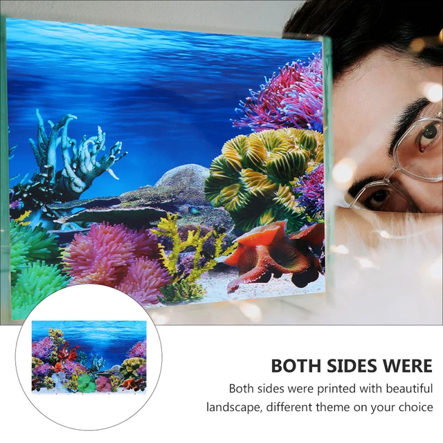 Aquarium Background Paper