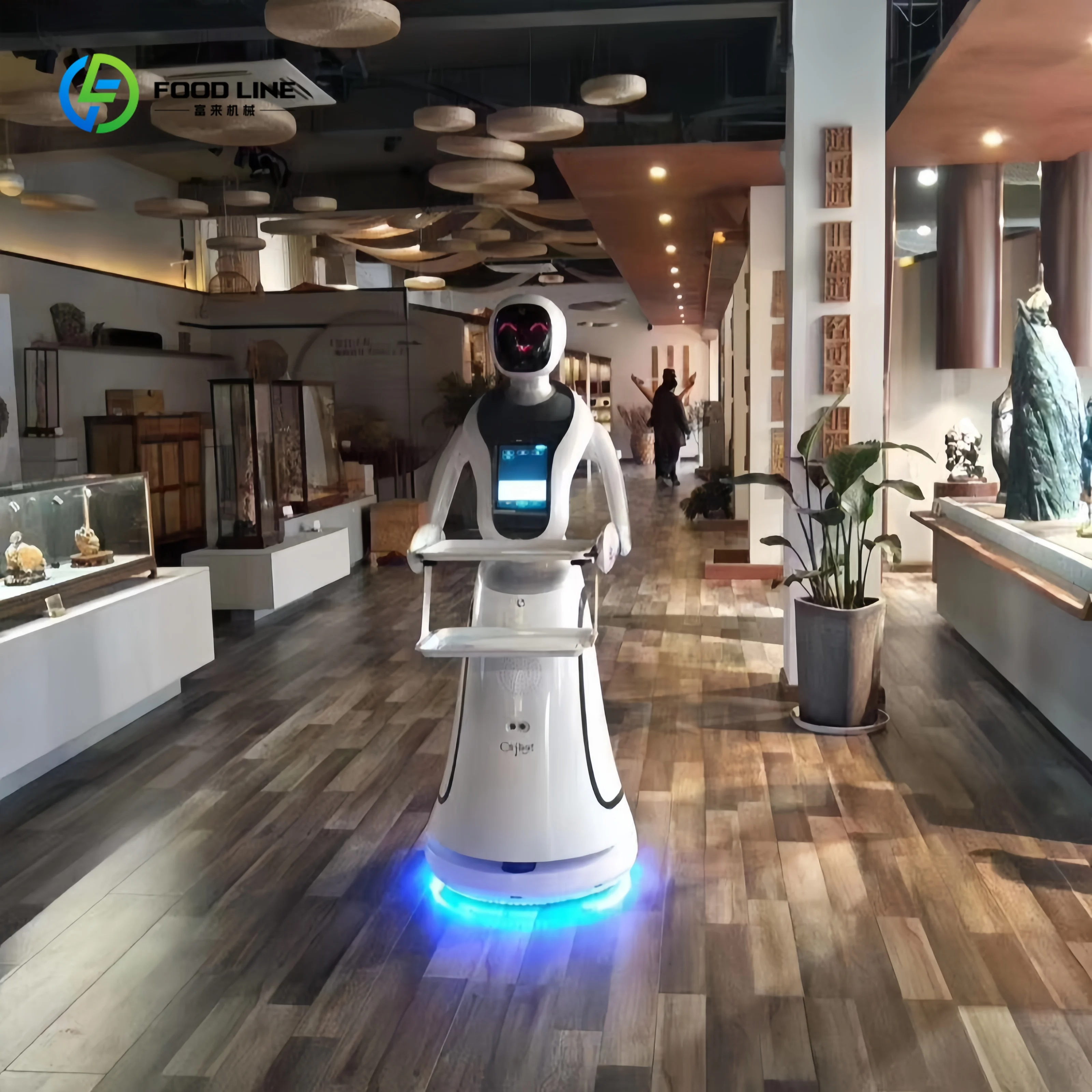 Humanoids Smart Intelligent Robot Human Size Robots for Sale Restaurant ...