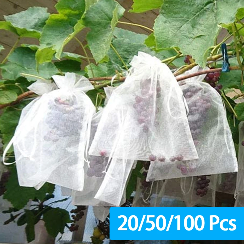 Vegetable Fruit Protection Bags | Grapes Fruit Protection Bags - 50 ...
