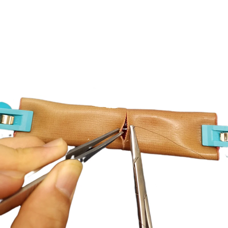 Medical-students-suture-practice-simulation-intestinal-anastomosis ...