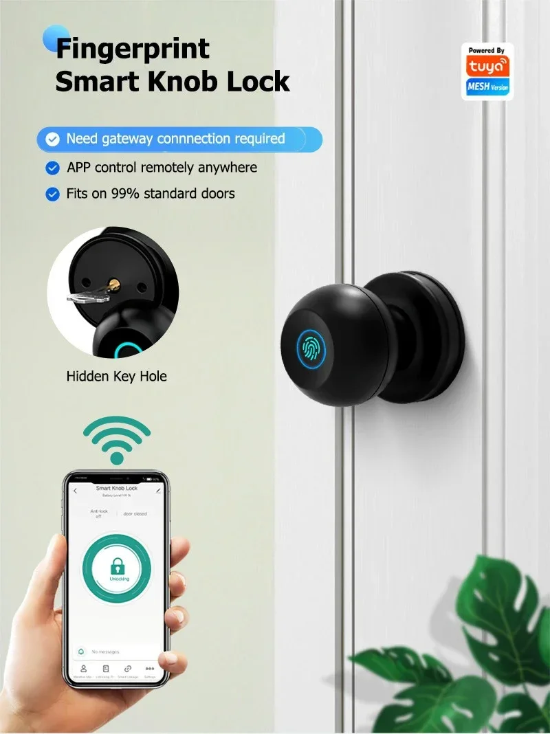 Tuya New Fingerprint Bluetooth Wifi Biometric Electronic Ball Lock APP ...