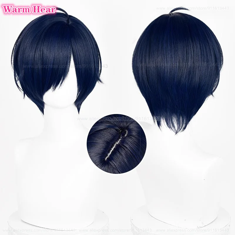 Game P3 Yuuki Makoto Synthetic Hair Short 30cm Blue Black Cosplay Anime ...