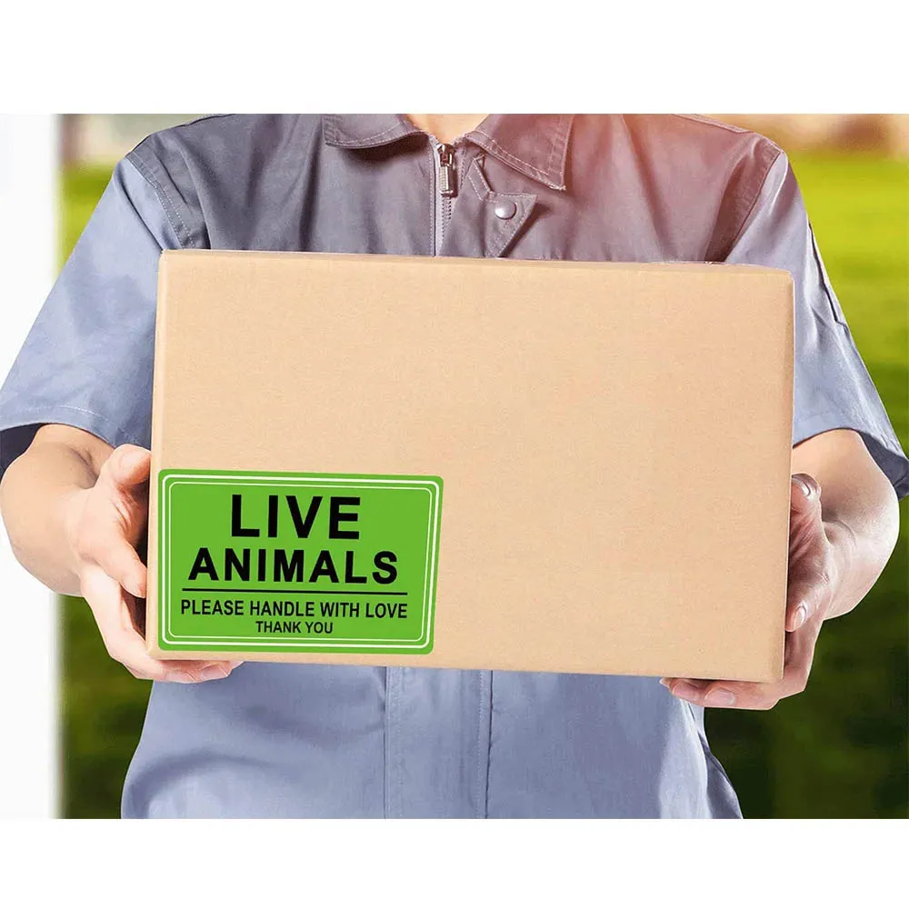 Store Home Products Getaway Deals Feedback