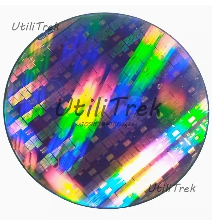 Silicon Wafer CPU Wafer Keychain Processor Memory Chip Drop Glue ...