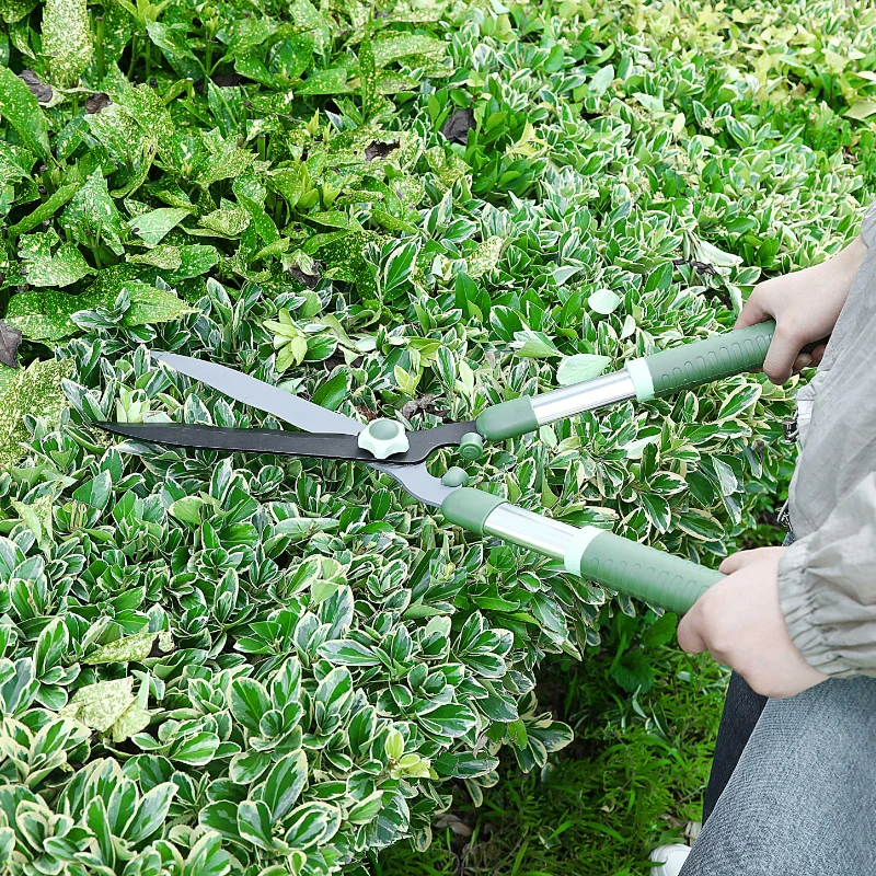 2022-Potted-Trim-Weed-Branches-Garden-Flower-Sharp-Scissors-Pruning ...