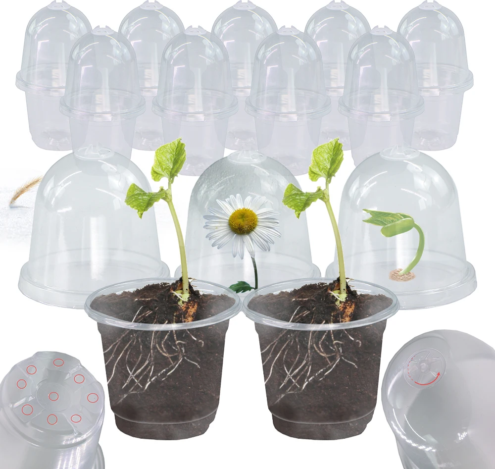 170x105MM-Clear-4-Inch-PET-Seedling-Cup-with-Lid-Transparent-Nutrient ...