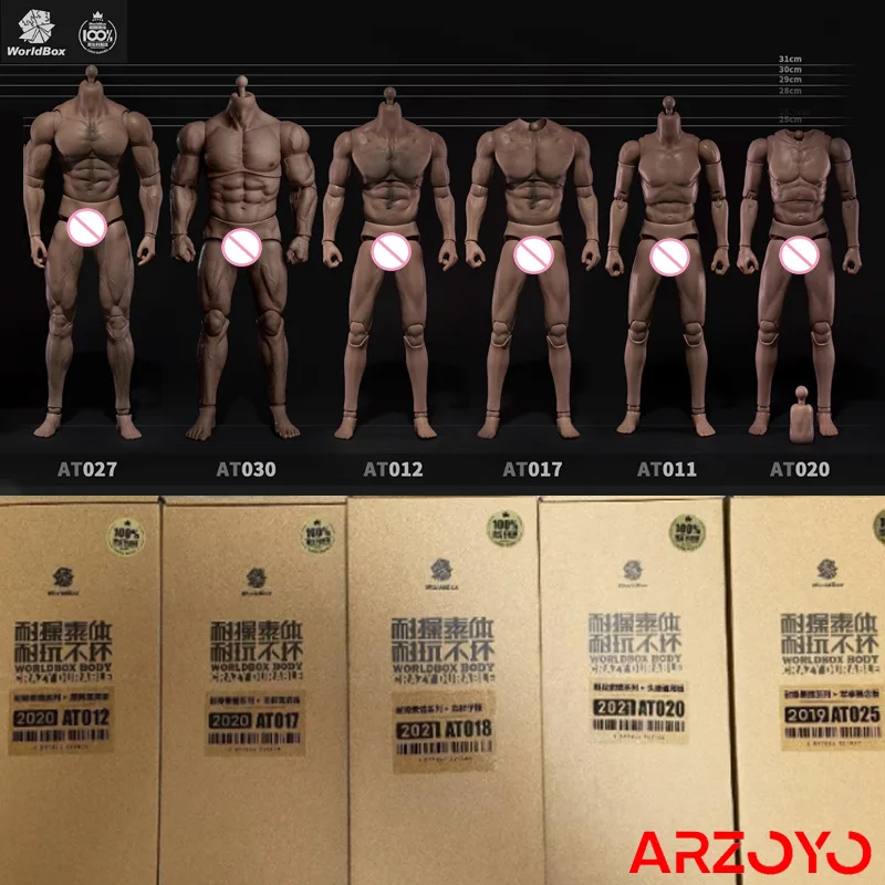 WorldBox-1-6-Male-Muscle-Body-Action-Figure-Model-AT011-AT012-AT016 ...