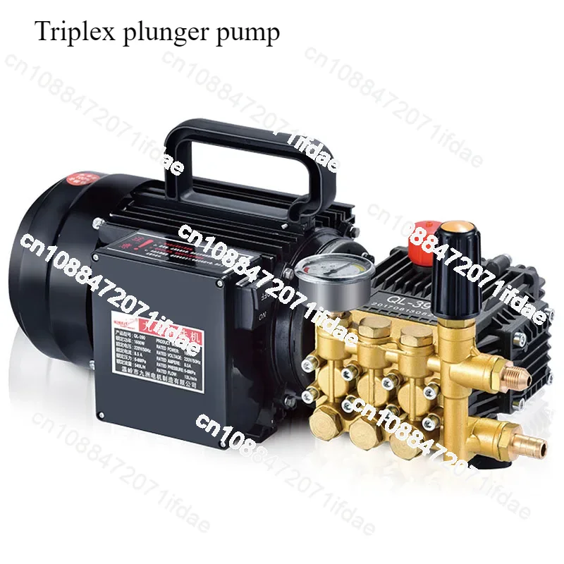 QL-390-brass-plated-triplex-plunger-pump-household-washing-machine-high ...