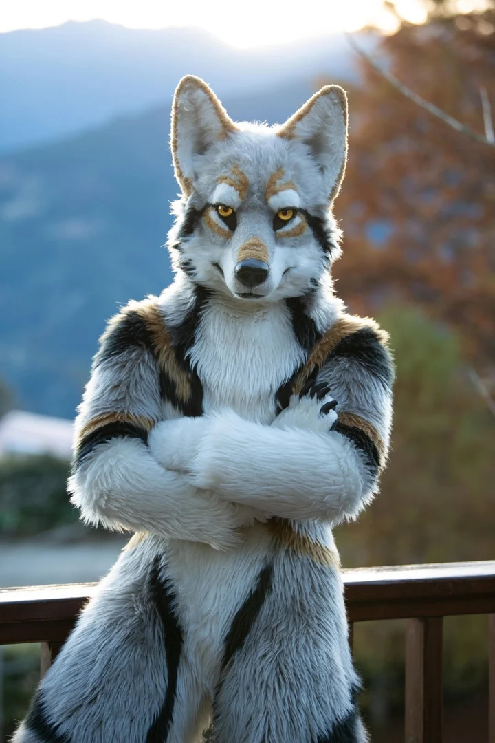 Long-Fur-Furry-Costume-Husky-Dog-Fox-Mascot-Costume-Fursuit-Wolf ...