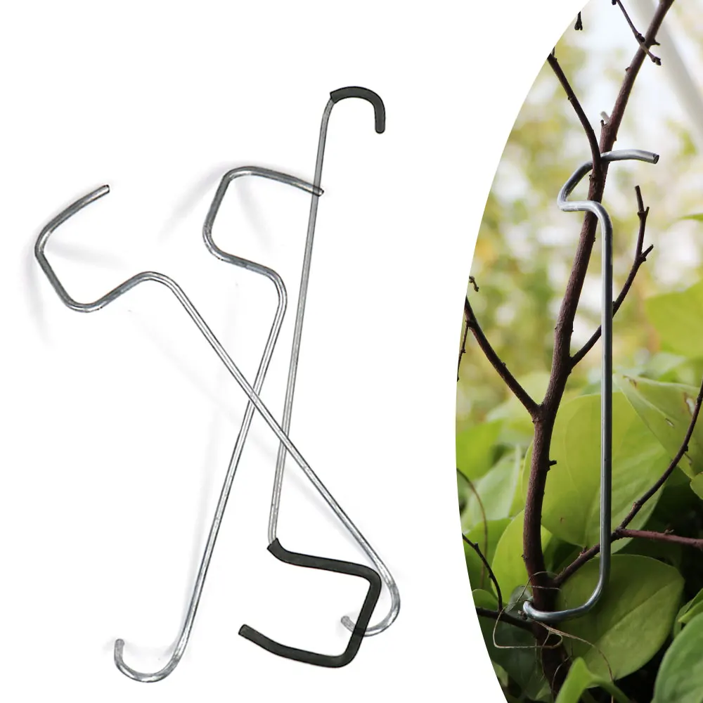Heavy-Metal-Fruit-Tree-Branches-Training-Support-Hook-for-Orchard-Yard ...