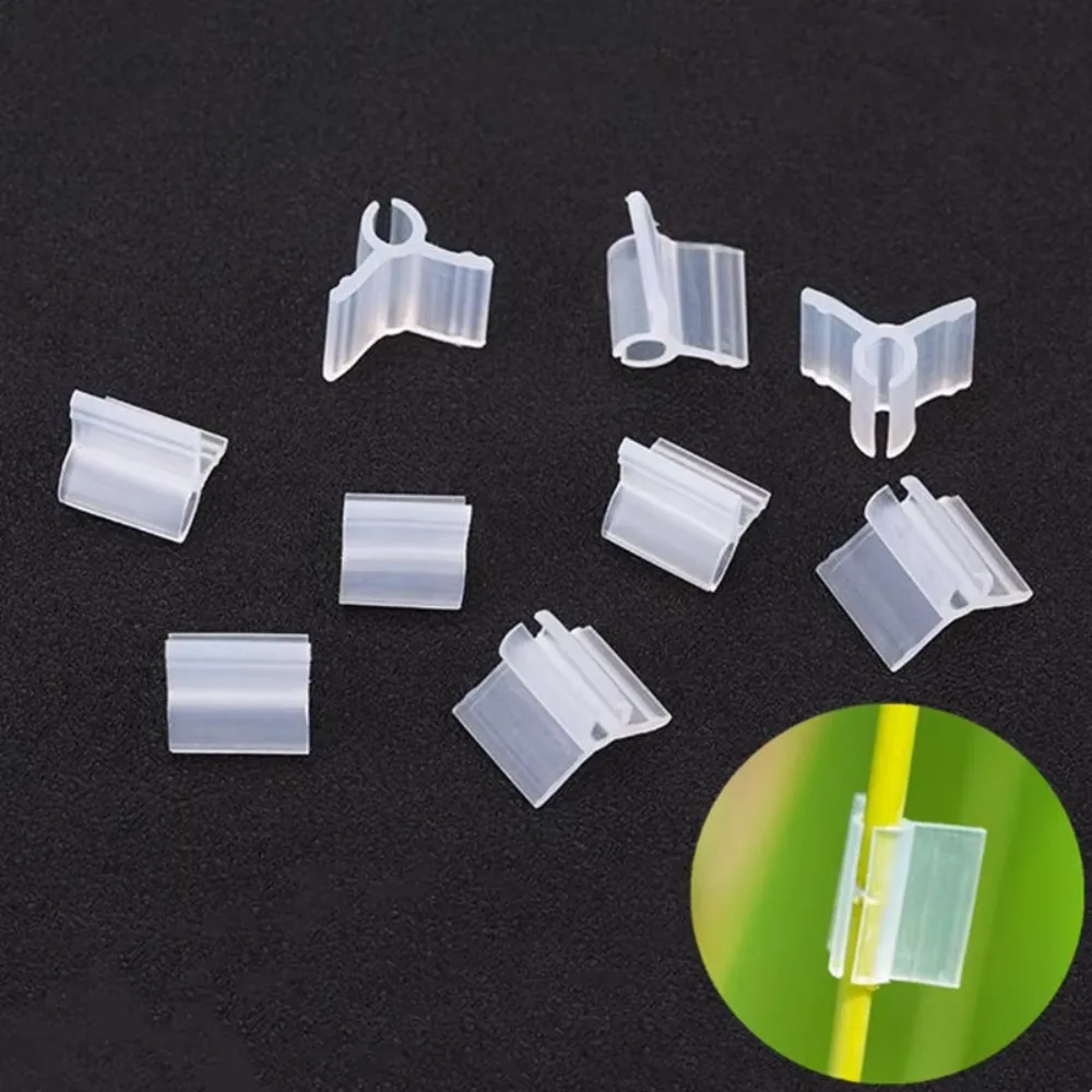 100pcs Special Grafting Clips, Tomato Seedling Grafting Clip, Eggplant ...