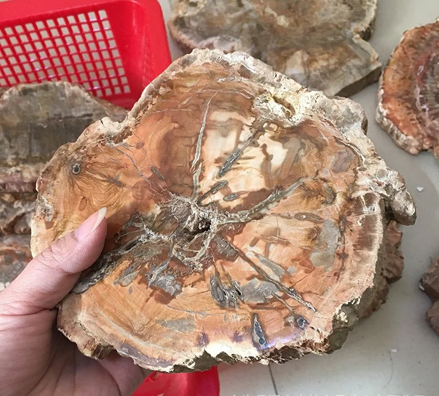 Natural-Wood-Shape-Original-Stone-Raw-Rock-Crystal-Quartz-Mineral ...