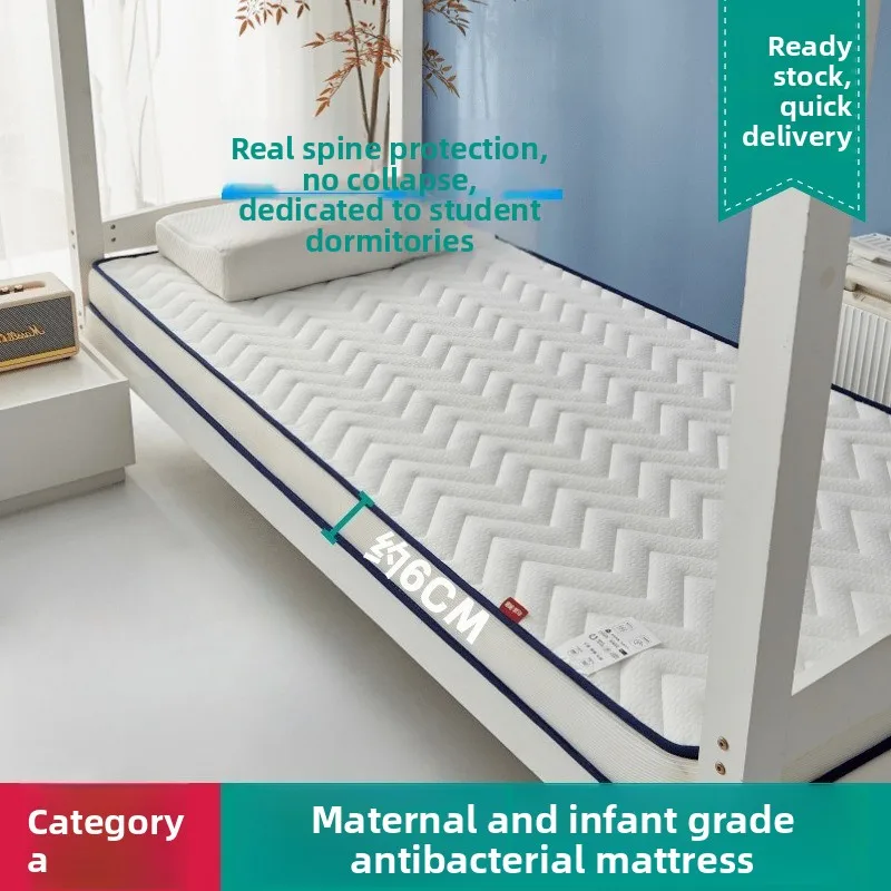 Dormitory Mattress Student Dormitory Single Bed Mattress Rental Floor ...