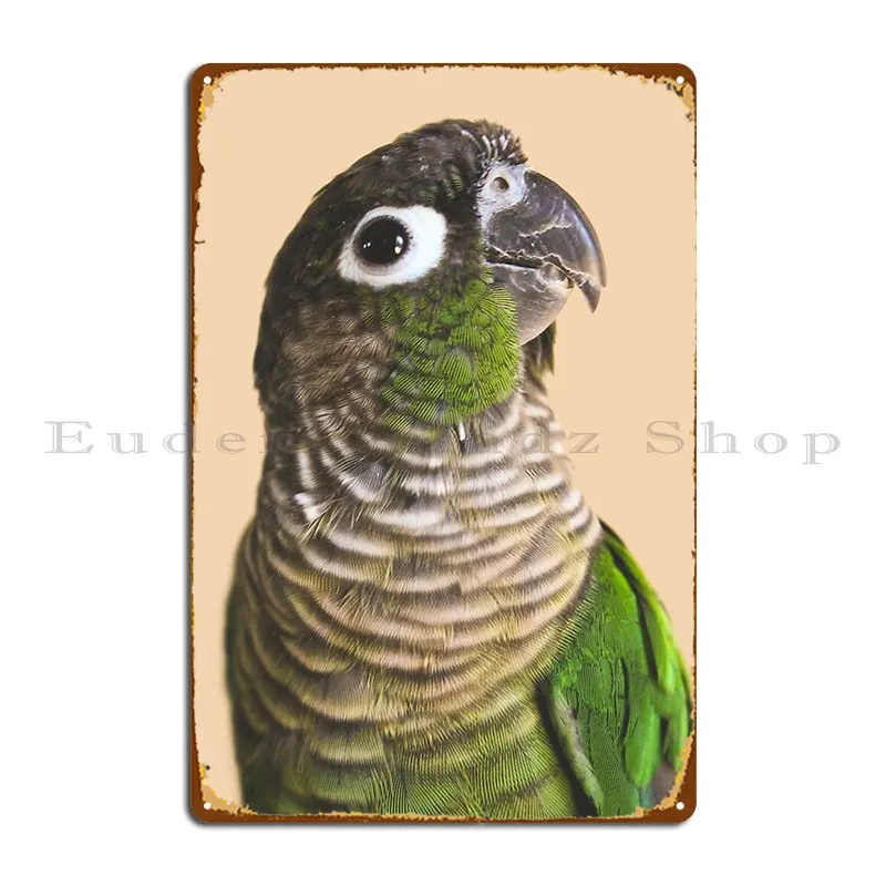 Green Cheek Conure Metal Sign Plaques Bar Wall Decor Kitchen Party ...
