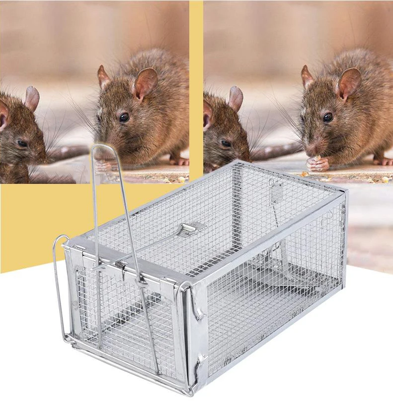 Free Ship Hot Rat Cage Mice Rodent Animal Control Catch Bait Hamster ...