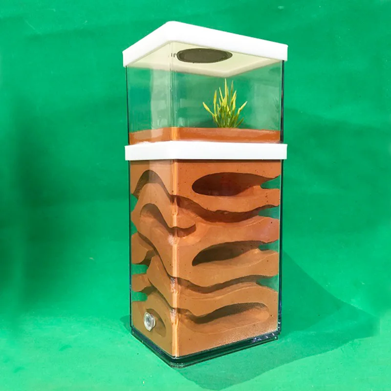 Plaster Ant Farm High Moisture Insect Hotel Castle Ecological Ant Nest ...