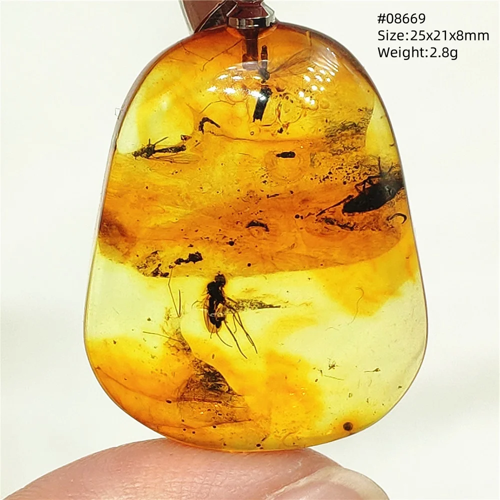 Natural Amber Pendant From Baltic Flower Yellow Amber Water Drop Women ...