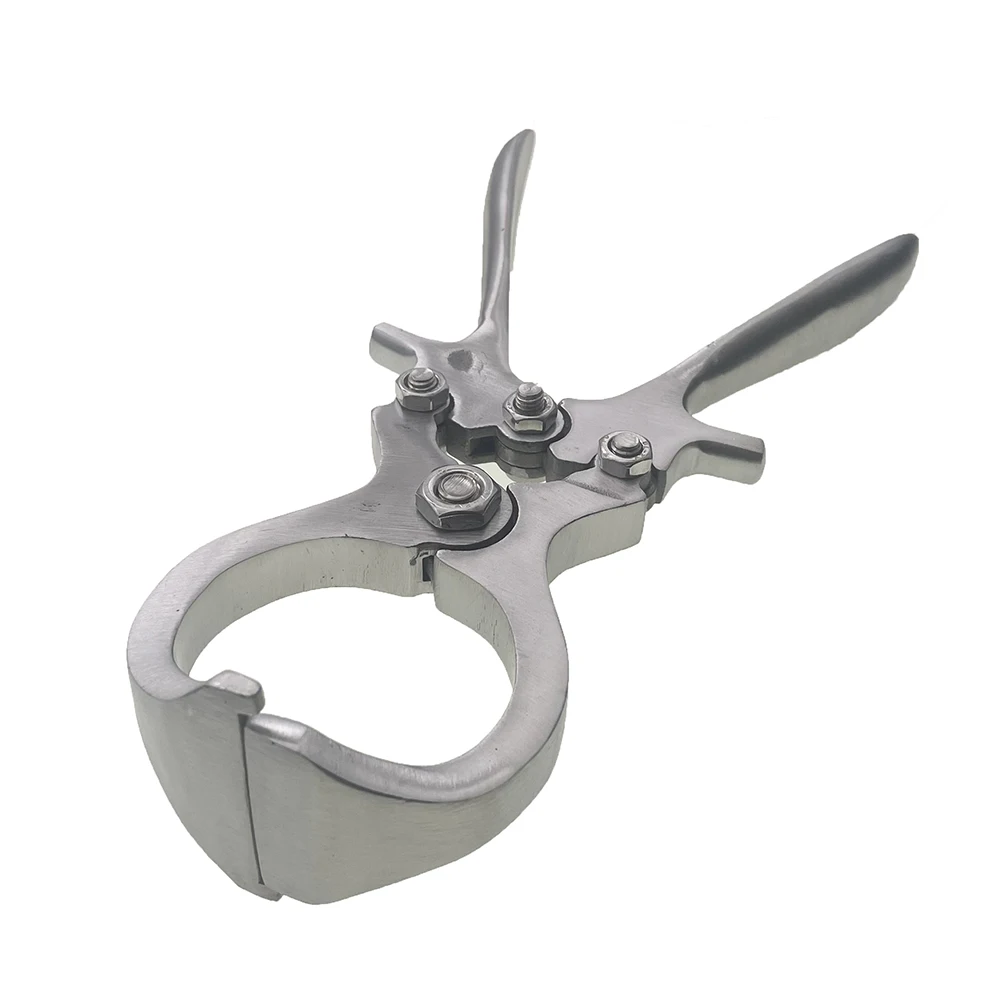Stainless-Steel-Pig-Gilt-Sow-Boar-Piglet-Sheep-Castrate-Neuter ...
