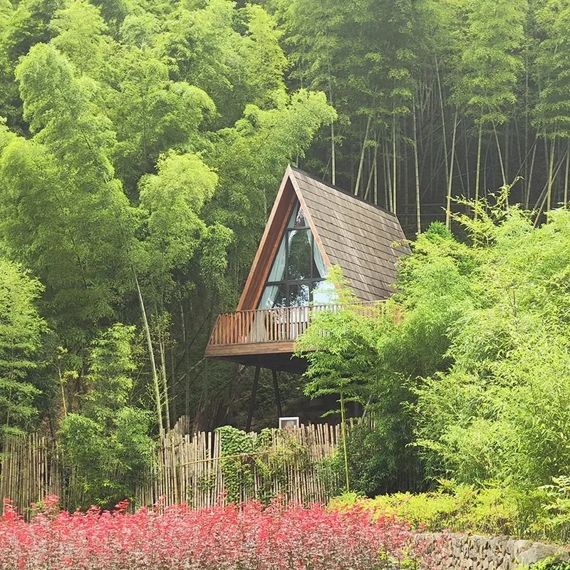 Luxury-Portable-Prefabricated-Steel-Structure-Building-Triangle-House ...