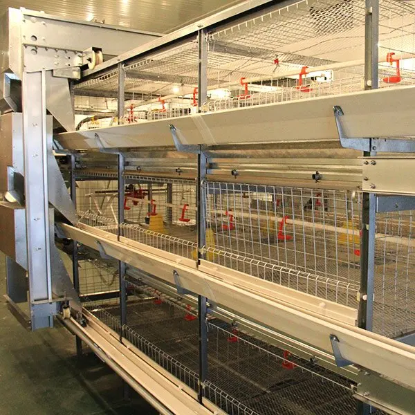 Poultry Farm Automatic Equipment H Type 4 Tiers 120 Capacity Broiler ...