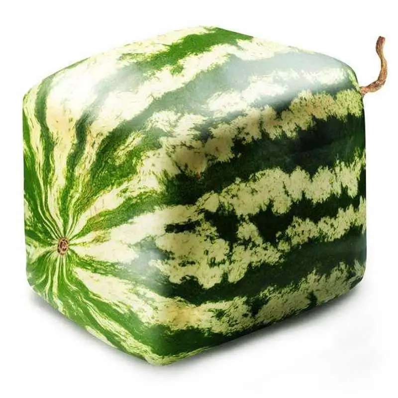 Square Watermelon Mold