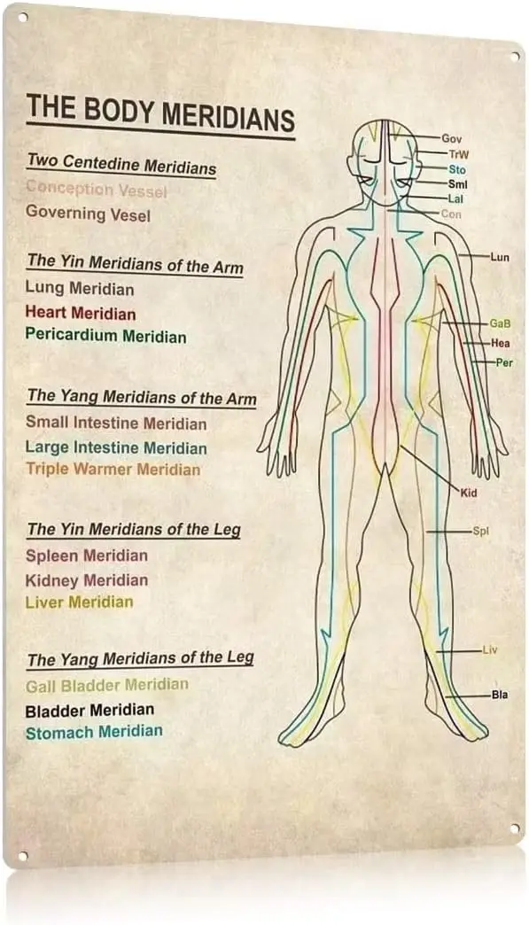 FEBIOAW-The-Body-Meridians-Knowledge-Poster-Therapy-Foot-Reflexology ...