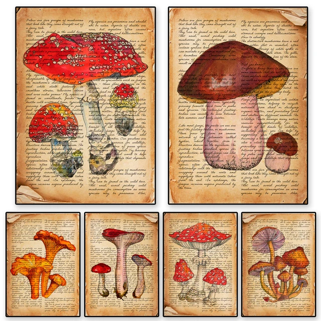 Vintage Mushroom Art