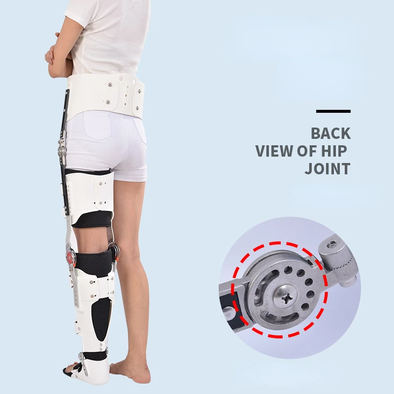 Lower Extremity Knee Meniscus Thigh Femoral Head Fracture Surgery ...