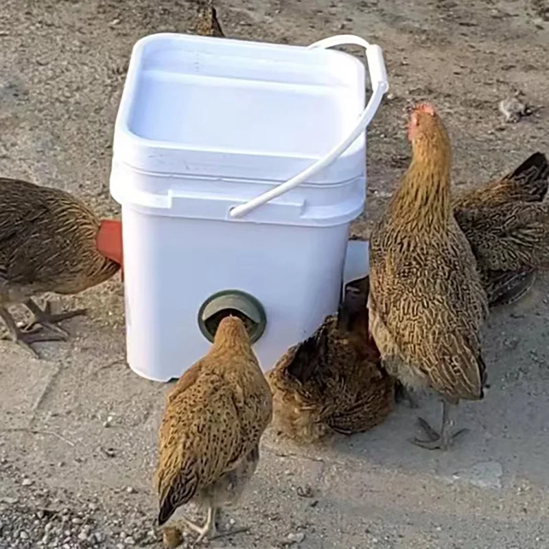 Generic Chicken Feeder Poultry Feeding Supplies Diy Rain Proof Poultry ...