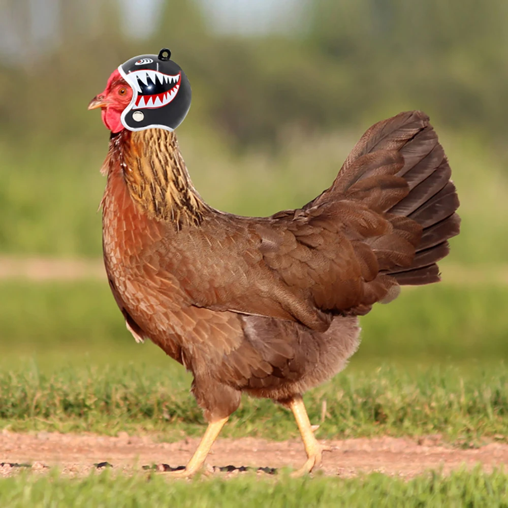 Scary Chicken Face