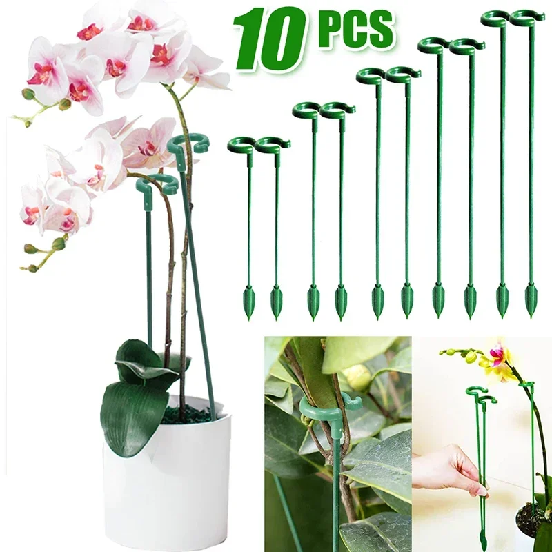 Plastic Plant Support Poles – Garden Exploration