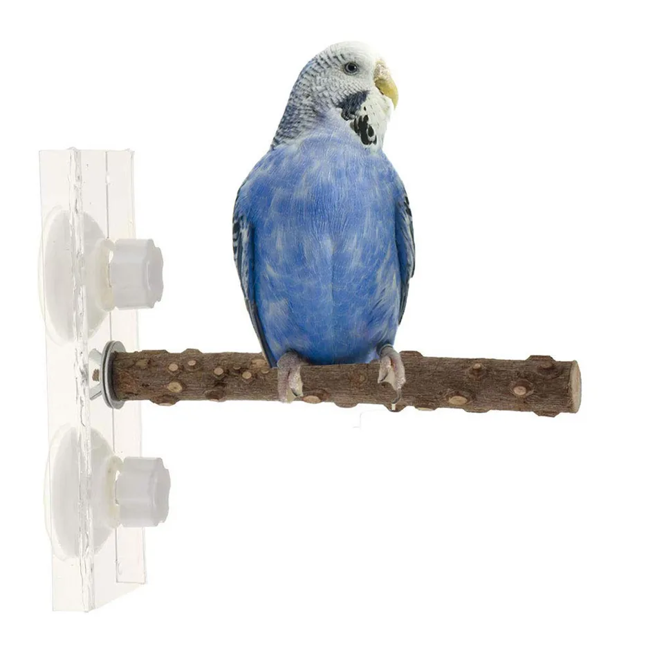 Window Bird Perch Bird Window & Shower Perch - PVC Suction Cup Bird ...