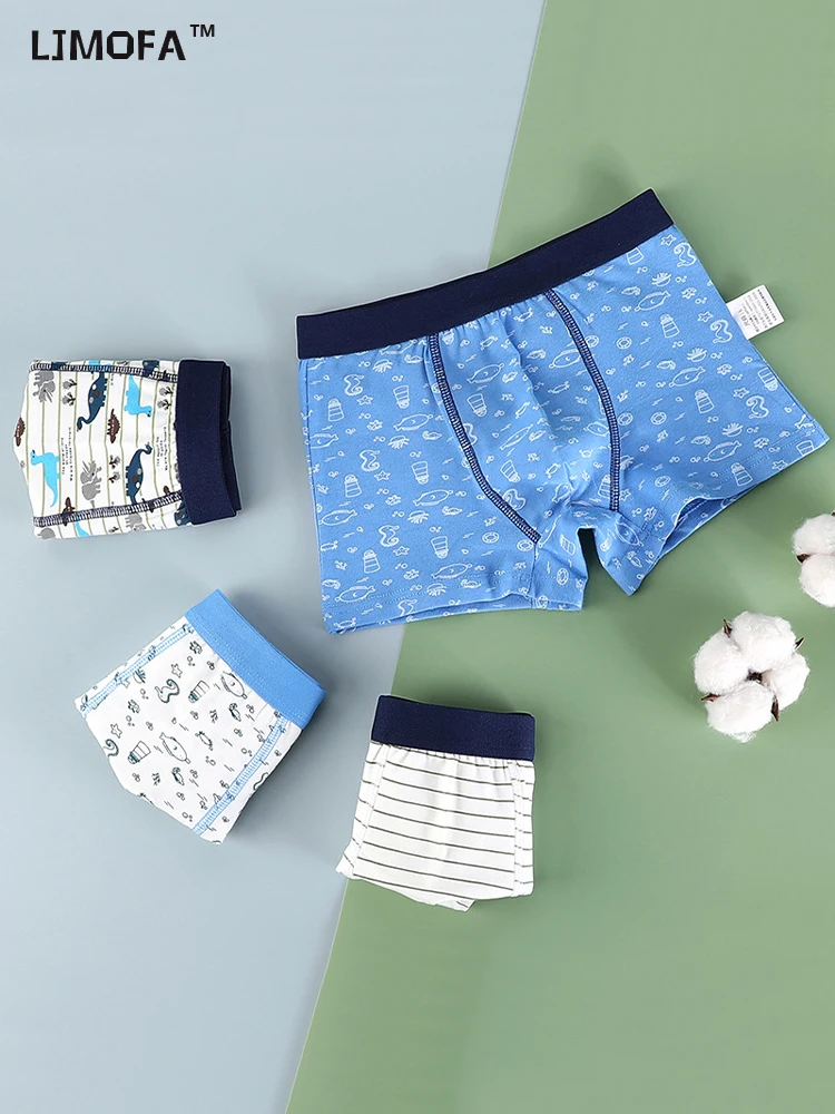 Little Boy Boxer Briefs