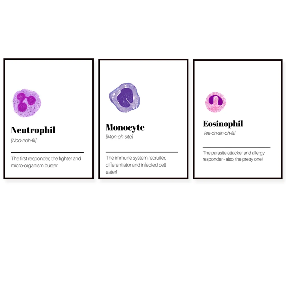 Are Monocytes White Blood Cells? Understanding the Role of Monocytes in ...