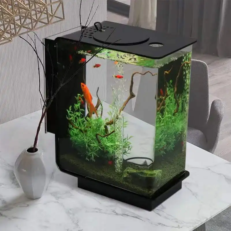 Cool Goldfish Tank Ideas