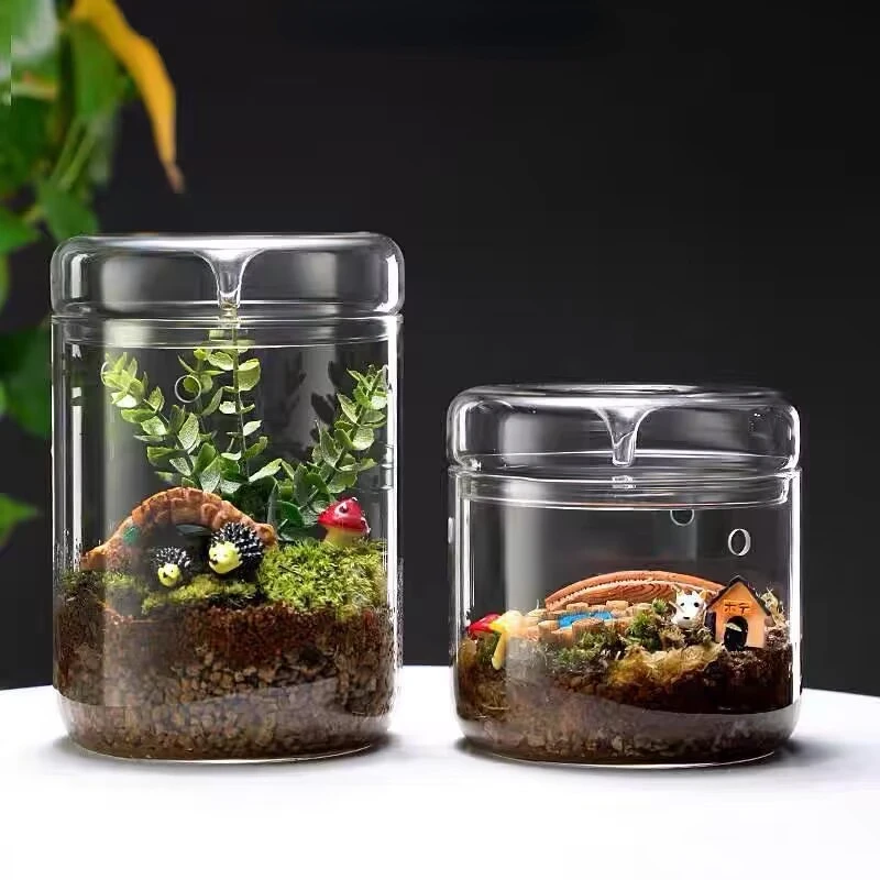 Ecological-Glass-Bottle-Micro-Landscape-Desktop-Plant-Moss-Jar-Closed ...