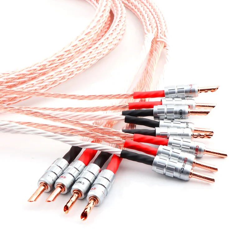 hifi-12TC-Bi-Wire-Speaker-Cable-Banana-Plug-Speakon-Copper-HiFi-Audio ...