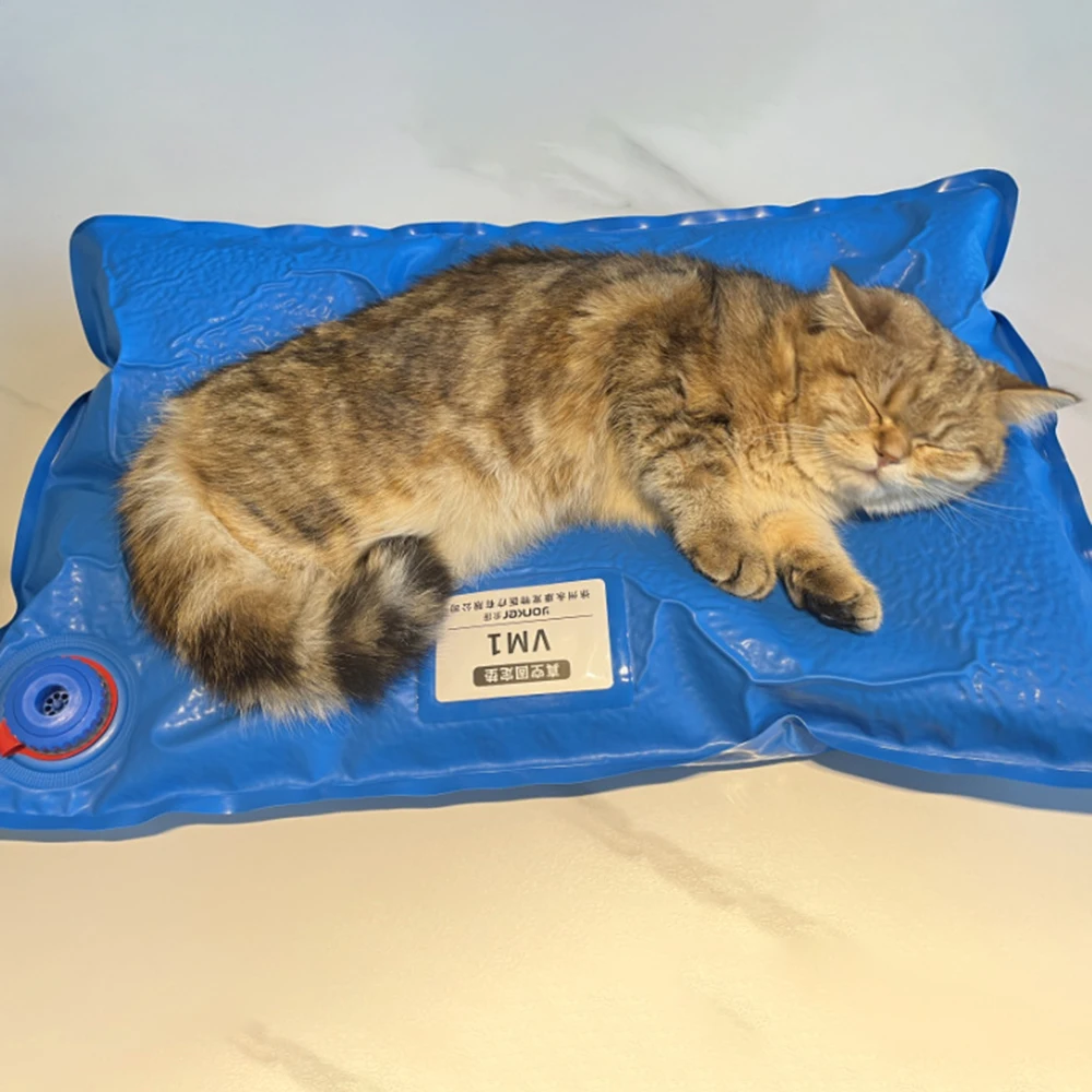 Animal-Surgical-Accessories-Pet-Vacuum-Positioning-Mat-Small-Veterinary ...