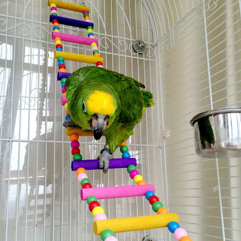 Bird Climbing Ladder | That's So Fetch!