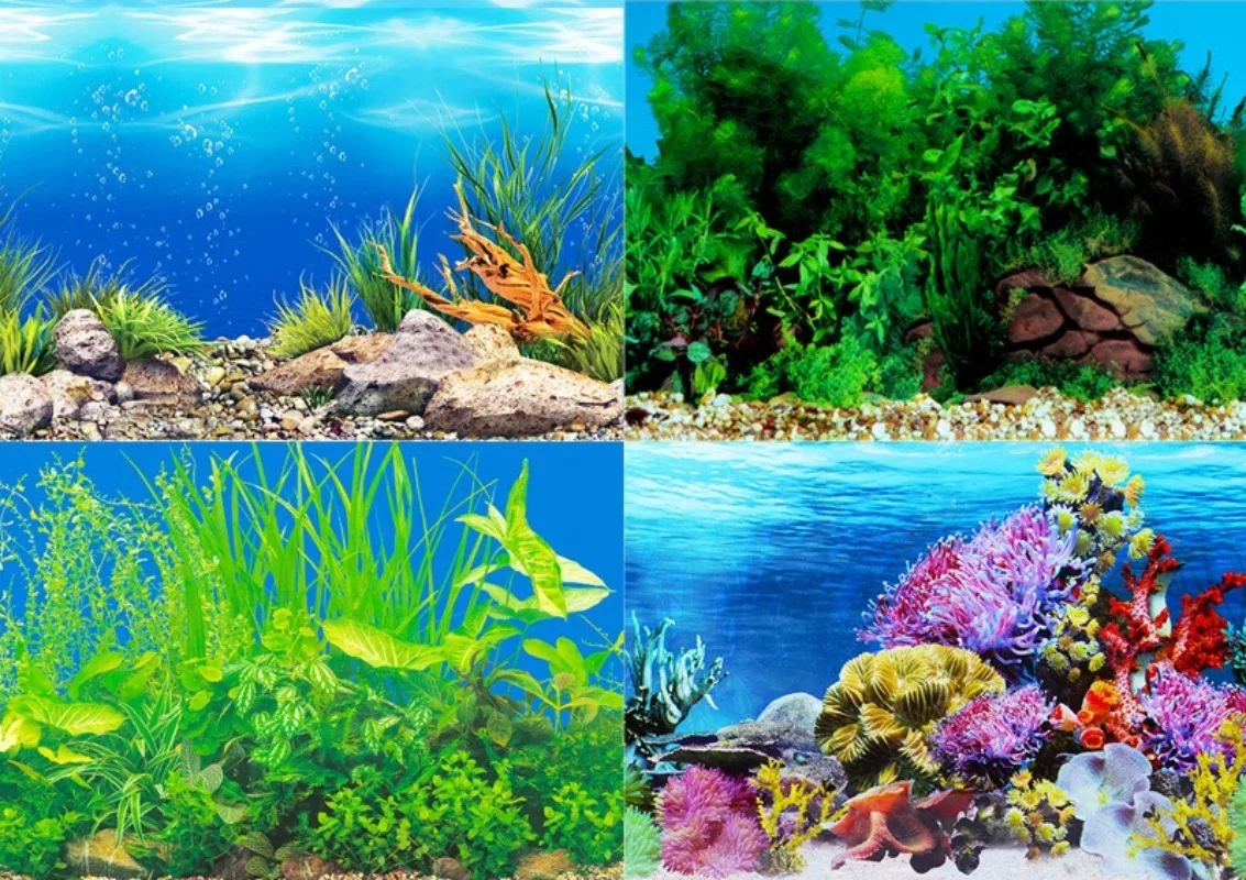 Tropical Fish Tank Background