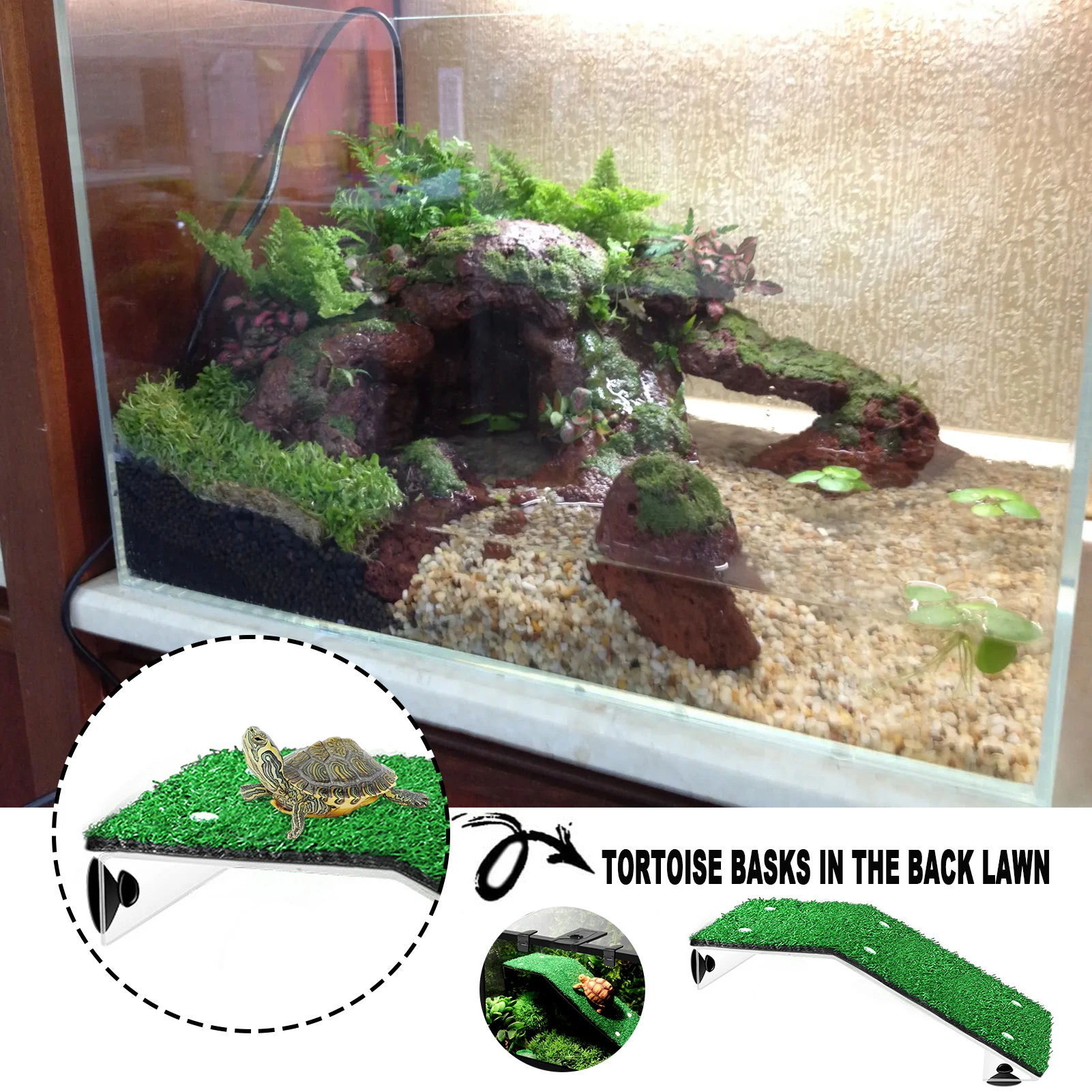 Turtle Grass Aquarium