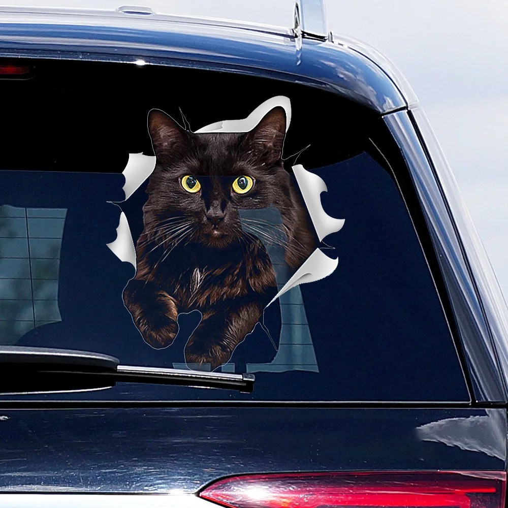 Black Ragdoll Cat Car Sticker - Gift Sign