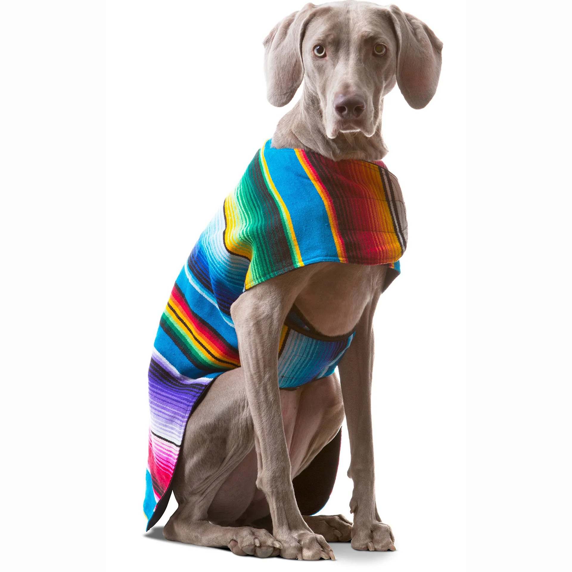 Dog-Poncho-Handmade-Mexican-Serape-Blanket-Tie-Dye-Dog-Cape-Halloween ...