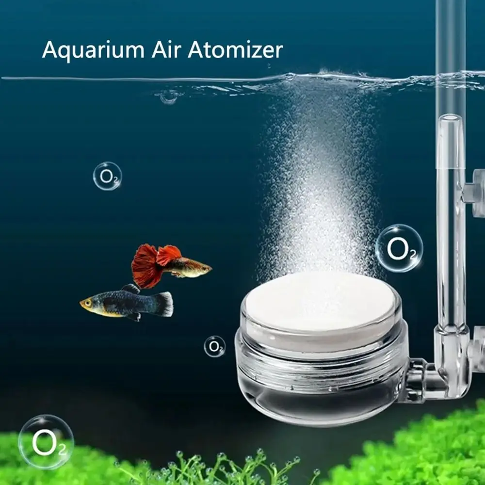 Mute-Air-Stone-Bubble-Stone-Kit-Aquarium-Fish-Tank-Air-Atomizer-Oxygen ...