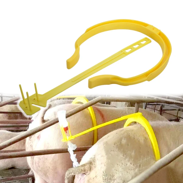 Granja De Aros Para El Parto De Cerdos Estrategias