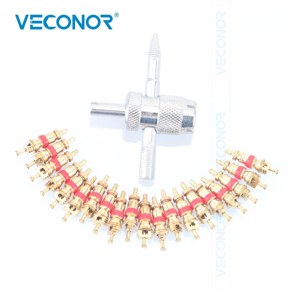20Pcs-Copper-Valve-Core-With-4-in-1-Tire-Valve-Stem-Removal-Tool-Valve ...