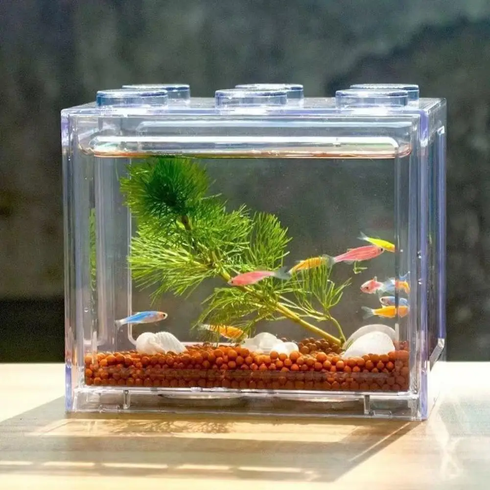 Plastic-Desktop-Fish-Tank-Vis-vel-Decorativo-Bonito-Building-Block ...