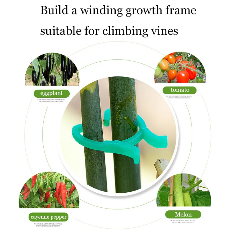 100-Pcs-Horticultural-Large-Plant-Binding-Strap-Vine-Fixing-Clip-Plants ...