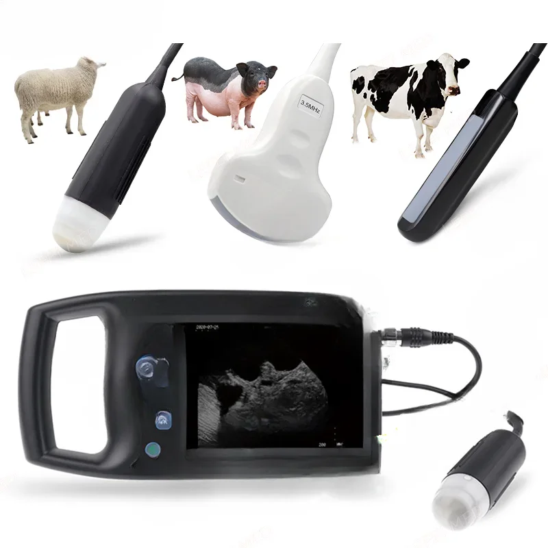 Animal-Scanner-Ultrasound-Cattle-Sheep-Pigs-Horses-Camels-Cats-Dogs-Vet ...