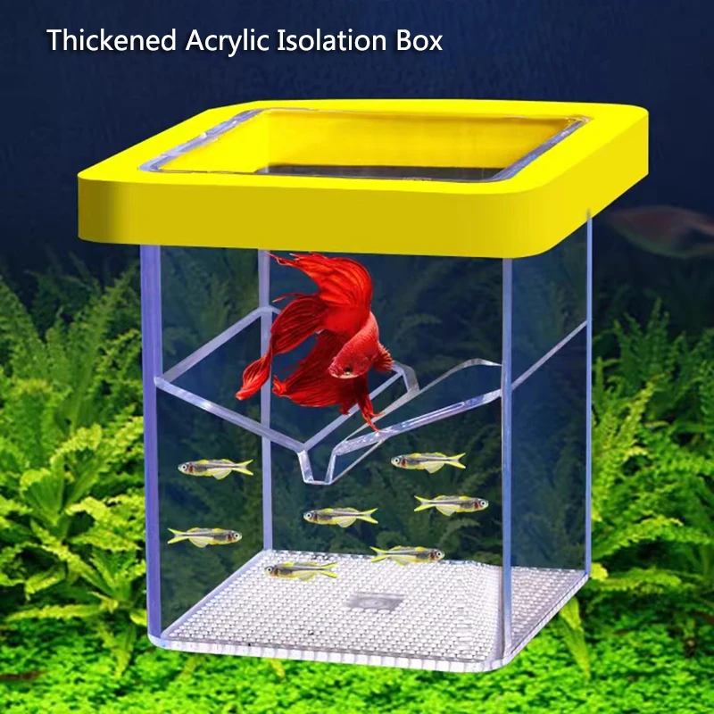 Acrylic-Floating-Fish-Breeding-Isolation-Box-Aquarium-Breeder-Feeder ...